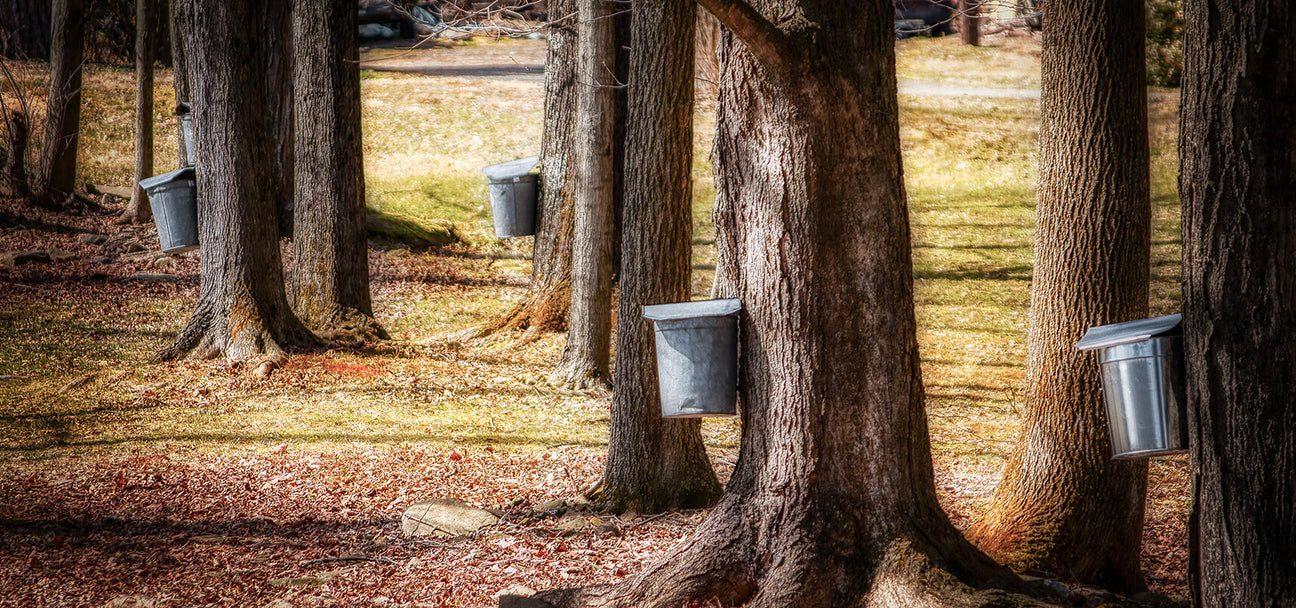 The Estate at Camphill Village Copake
