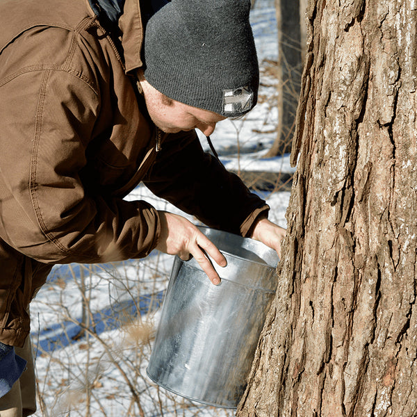 The Estate at Camphill Village Copake