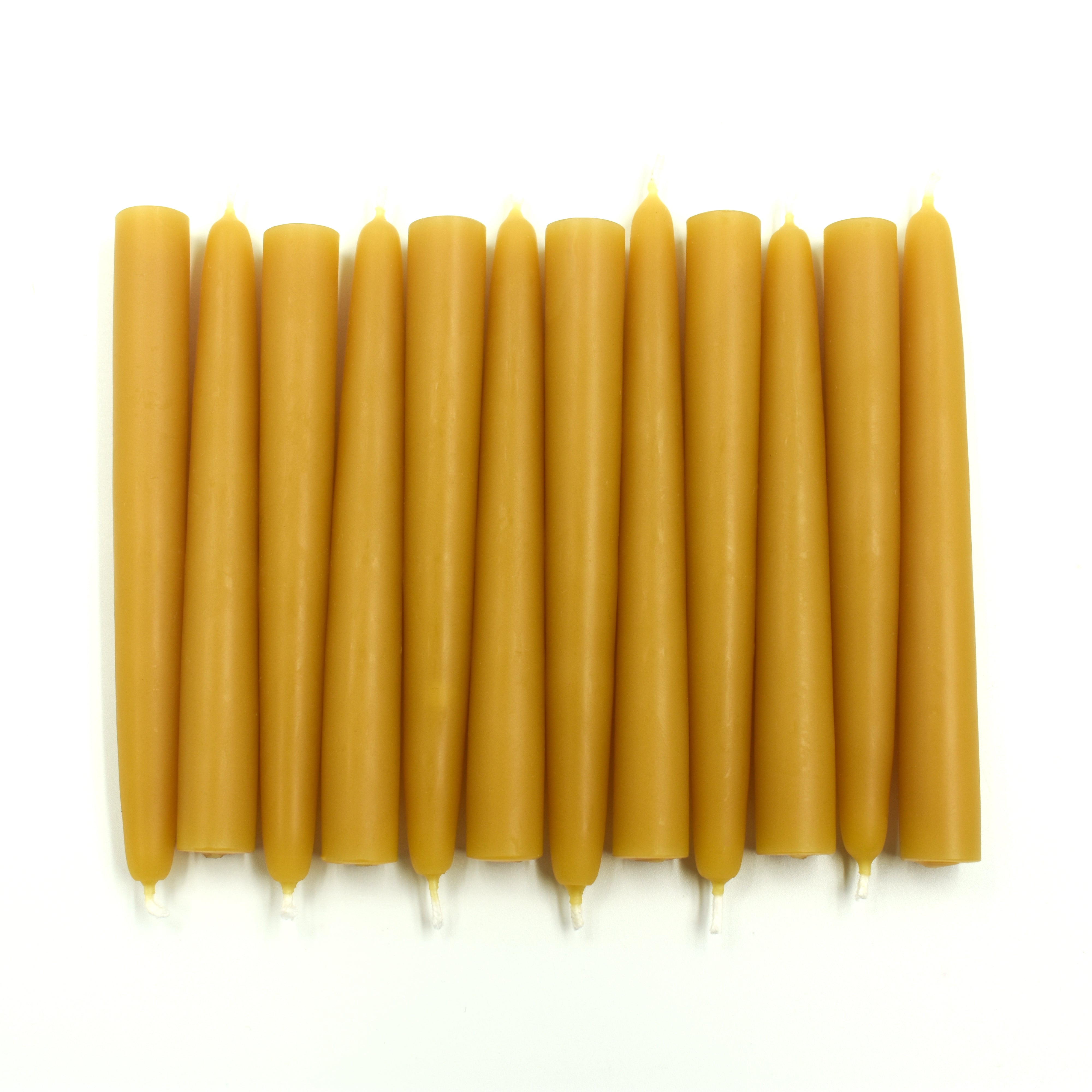 Natural Beeswax Tree Candles - Community Bulk Box | Camphill Village Store