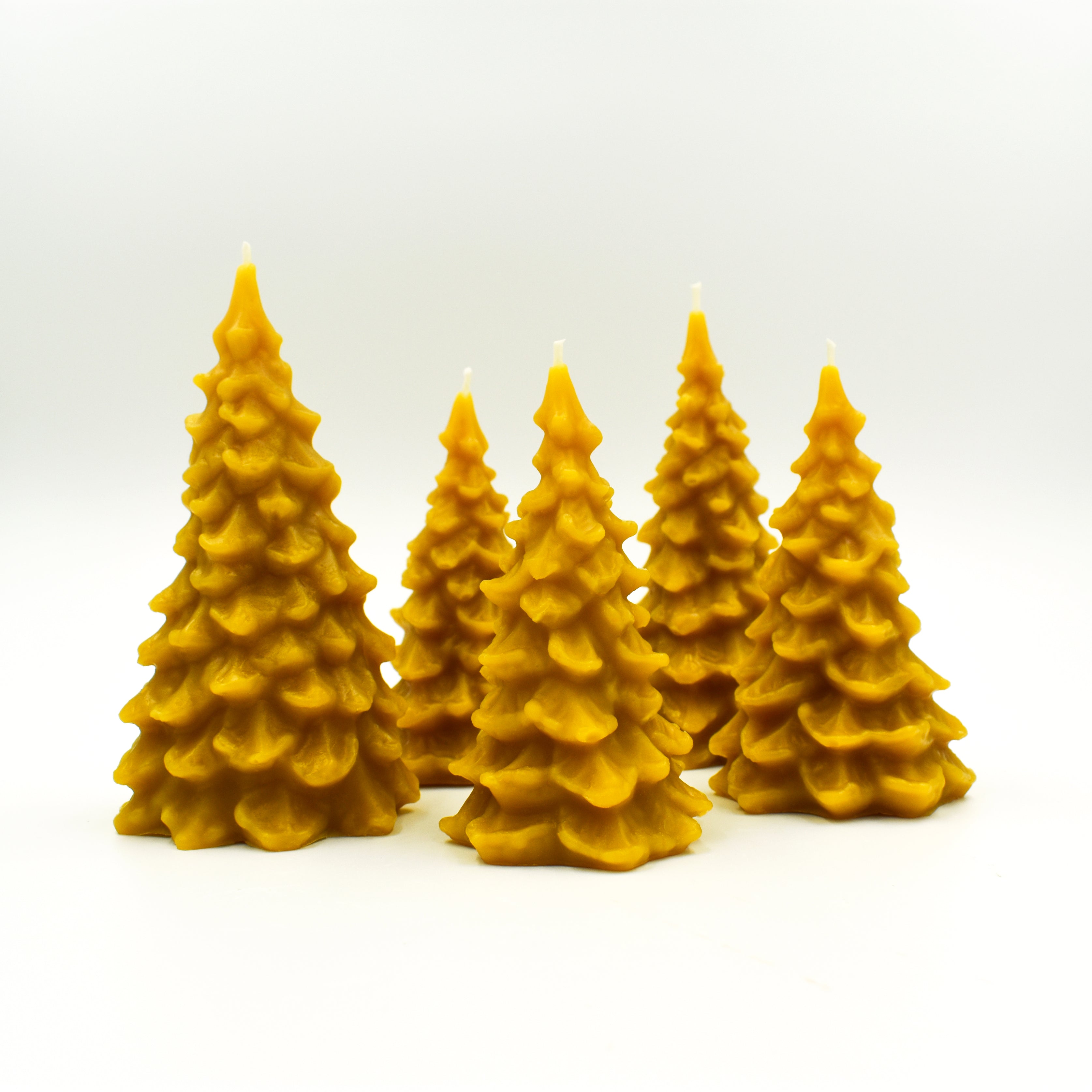 Natural Beeswax Tree Pillar Candle | Camphill Village Store